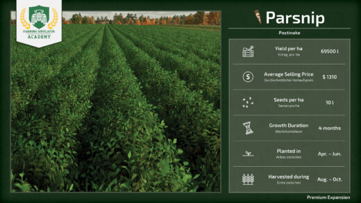 Premium Expansion Preview: Parsnips – FS22 mod